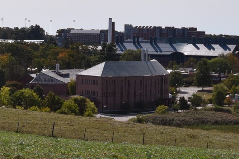 Top of Horsebarn Hill | Horsebarn Hill