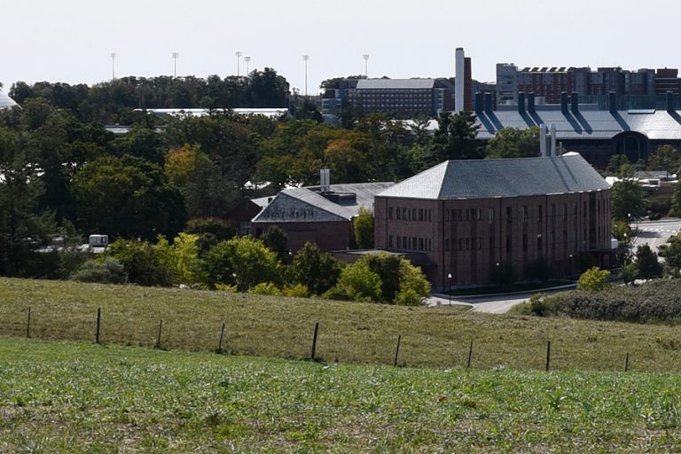 Top of Horsebarn Hill | Horsebarn Hill